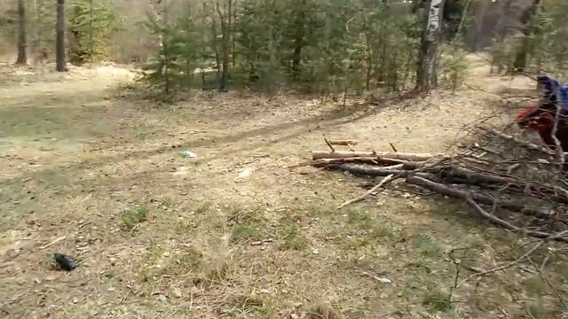 осенний велопоход