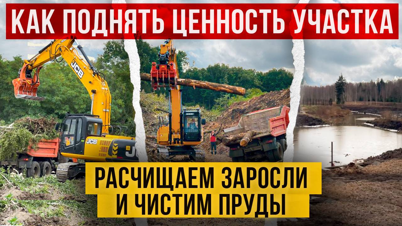 КАК ПОДНЯТЬ ЦЕННОСТЬ УЧАСТКА? Расчищаем заросли и чистим пруды #расчисткаучастка #купитьучасток