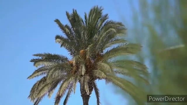 Поздравления с днем рождения женщине с Юбилеем. Коротенький стих