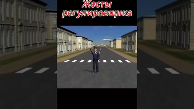 Жесты регулировщика.mp4