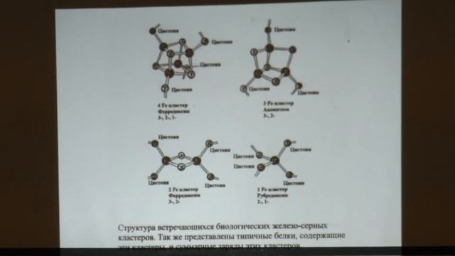 Казанков Г. М. - Механизмы ферментативного катализа - 13. Металлы в составе ферментов