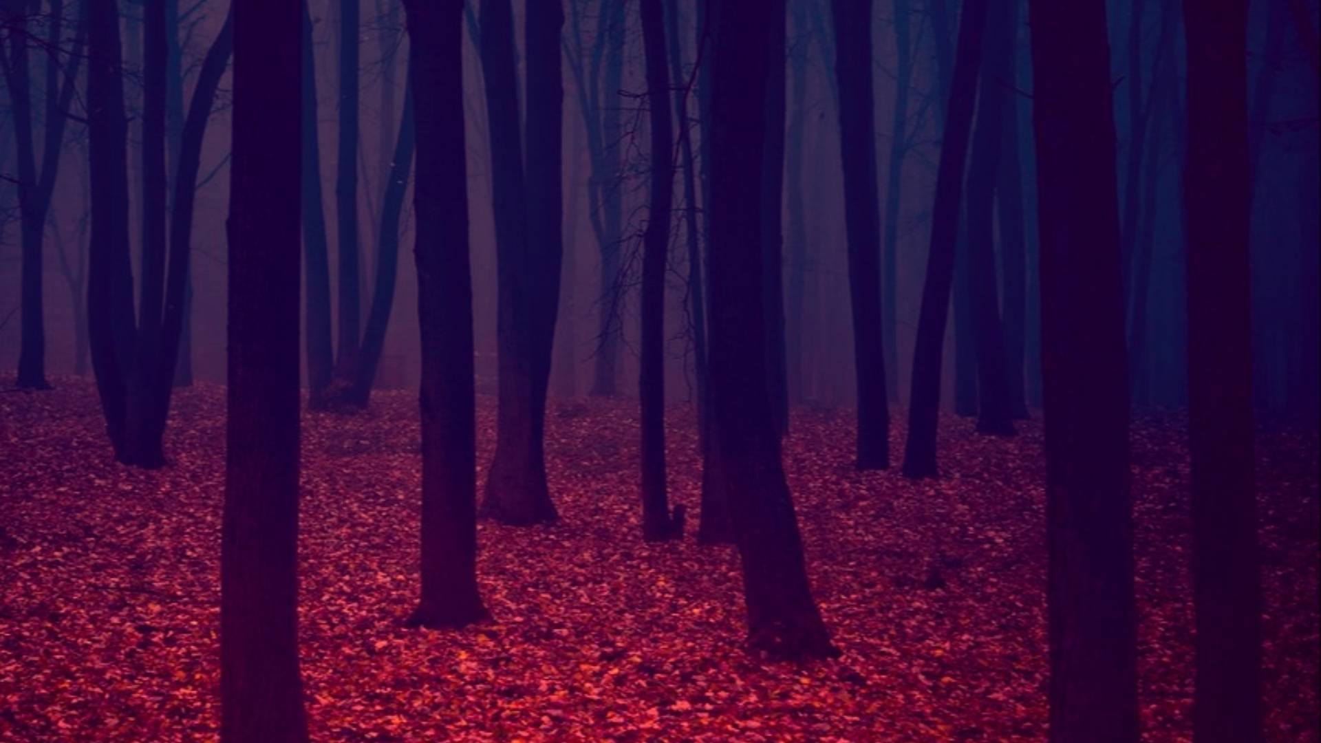 УРОВЕНЬ 14 - РАЙ // ЗАКУЛИСЬЕ