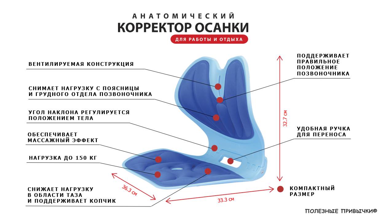 Свойства анатомического корректора осанки для работы и отдыха «Полезные привычки» ®