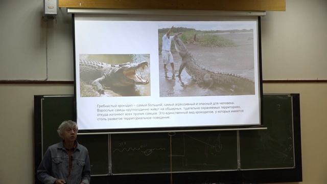 Иваницкий В. В. - Зоосоциология - 8. Социальная организация между водой и сушей