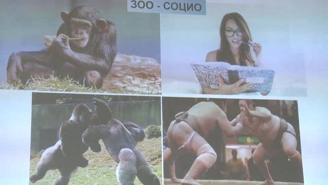 Иваницкий В. В. - Зоосоциология - 1. Социальность у животных