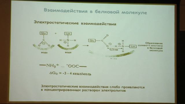 Клячко Н. Л. - Механизмы ферментативного катализа - 1. Введение в курс. Общая информация