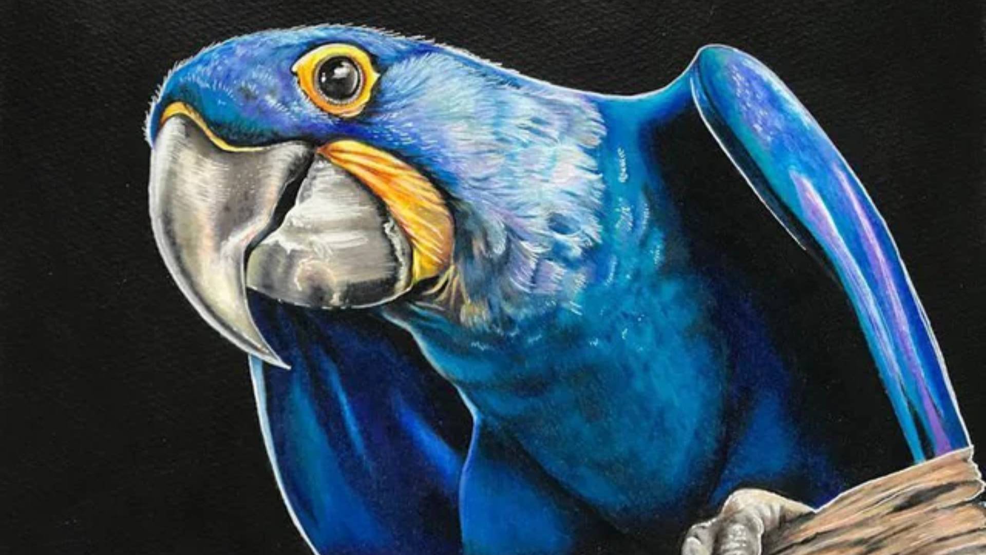 СУЩНОСТЬ 7 - ДЖЕРРИ // ЗАКУЛИСЬЕ