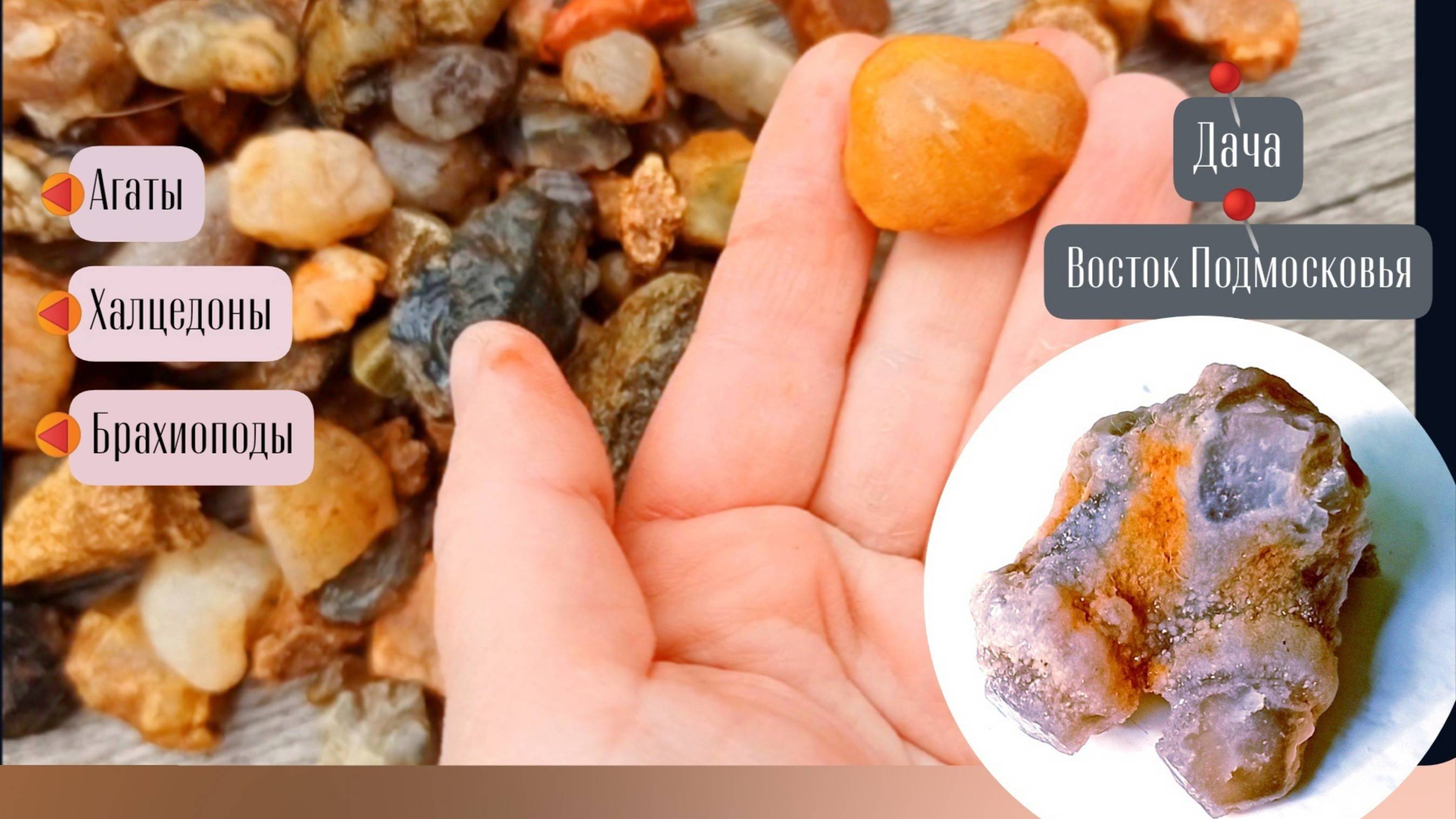 Агаты и халцедоны в дачном гравии. Нашла много брахиопод. Кварцевая горочка растëт на глазах.