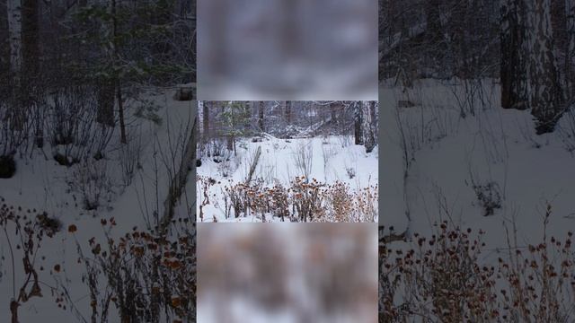 Просто фото.