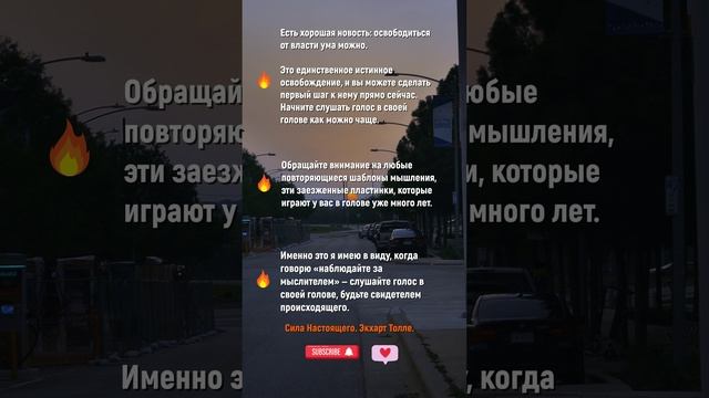 Цитаты | Сила Настоящего | Экхарт Толле. #мудрость #книги #философия #цитаты #момент #ЭкхартТолле