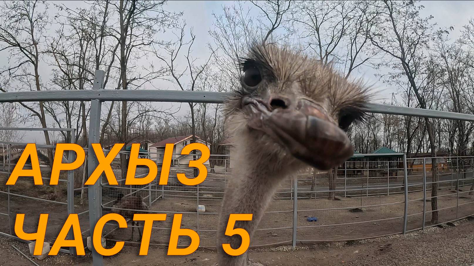 2024.02.30 - Архыз_часть5