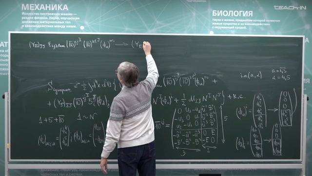 Степаньянц К.В. - Суперсимметрия в ФЭЧ-17.Суперпотенциал суперсимметричной SU(5) ТВО: низкие энергии