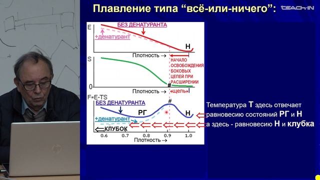 Финкельштейн А.В. - Физика белка - 12. Расплавленная глобула. Фазовый переход денатурации белка