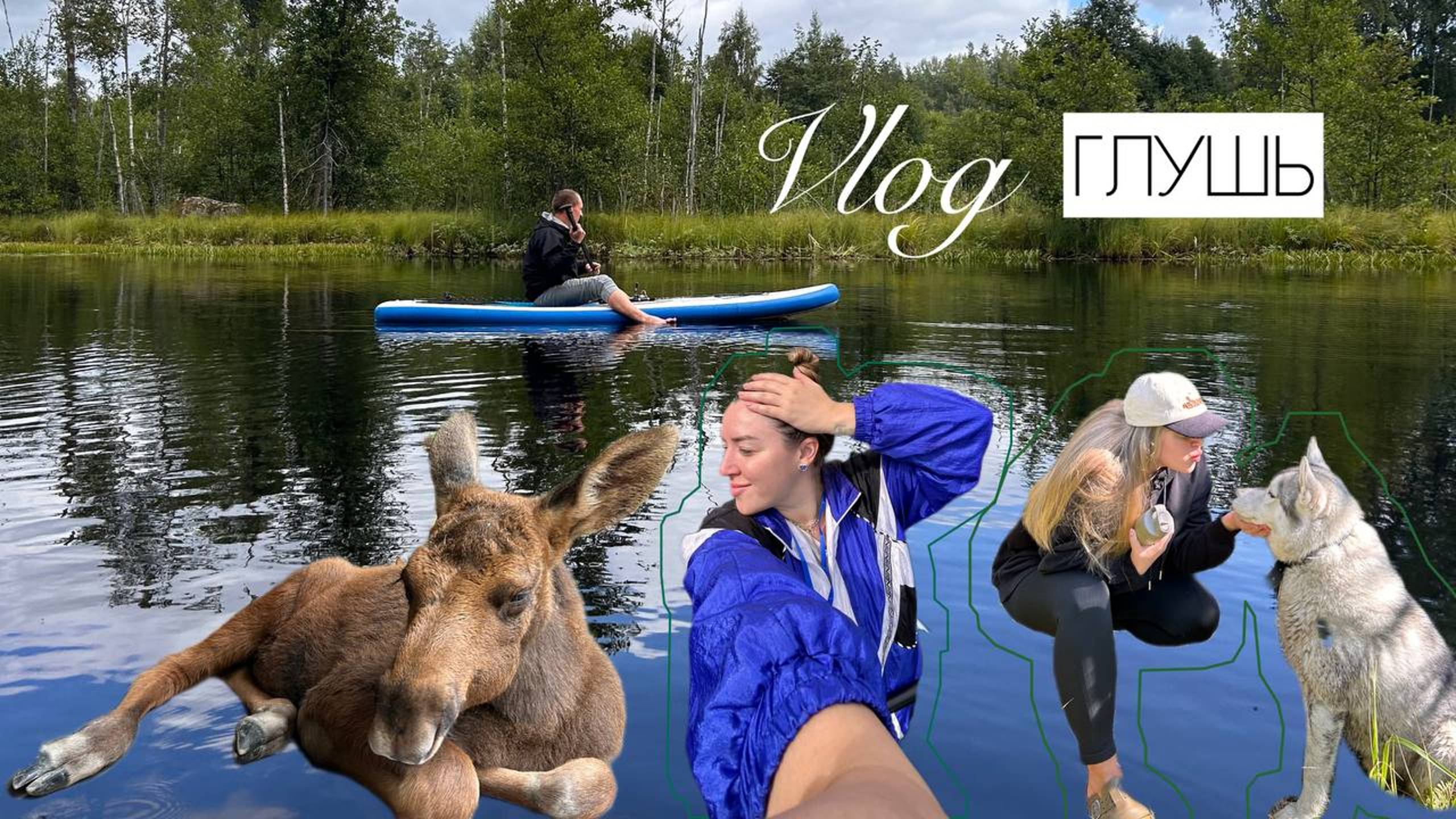 Живем в глуши с оленем