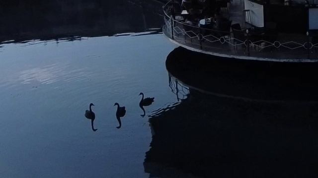 Новый Афон Приморский парк 2021г