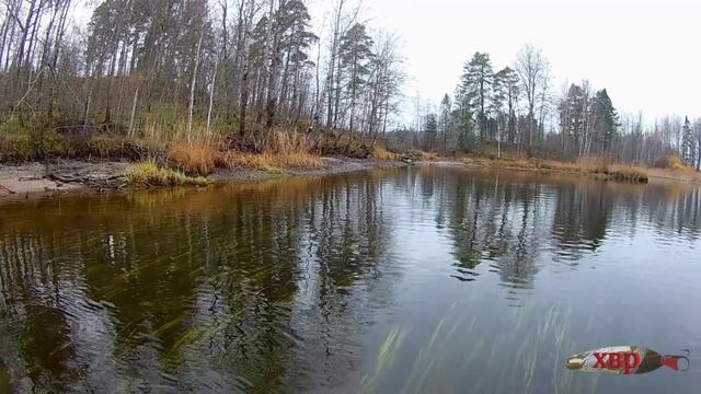 Есть ли щучий жор в конце осени?