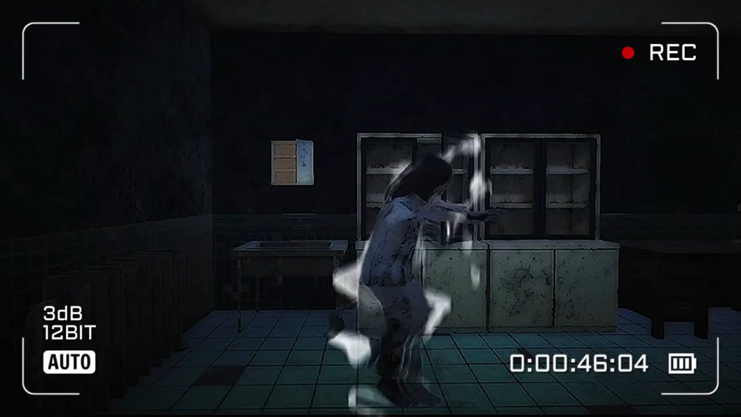 Хозяйка Сумасшедшего Дома