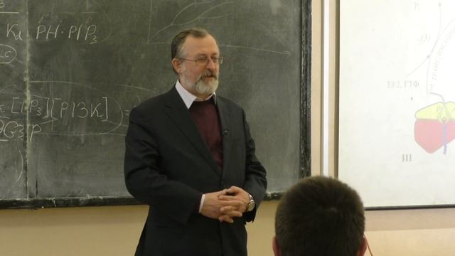 Асеев В. В. - Молекулярная биология - 14. Трансляция: элонгация и терминация