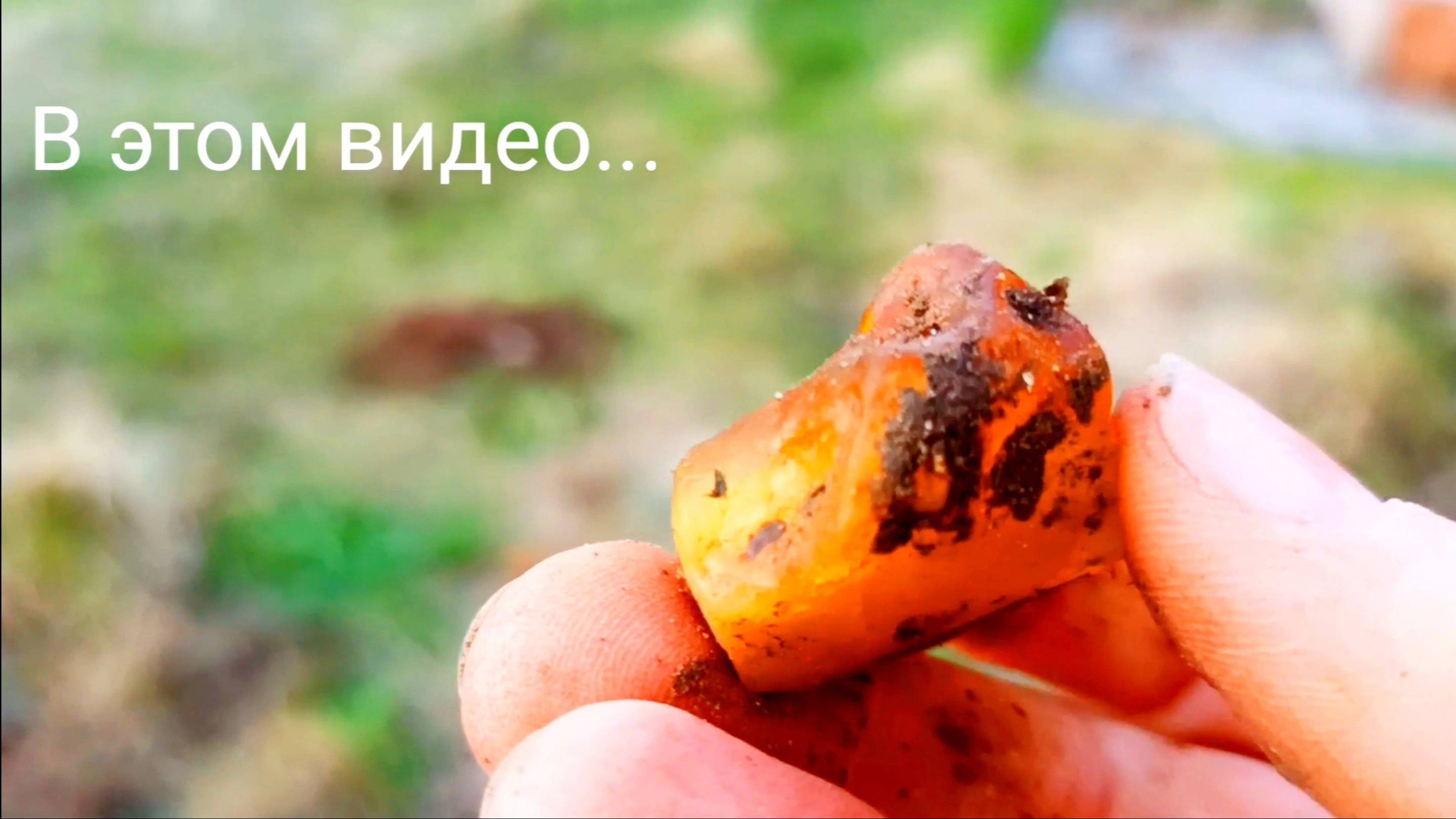 Нашла сердолик в куче гравия на даче! Весна Подмосковье