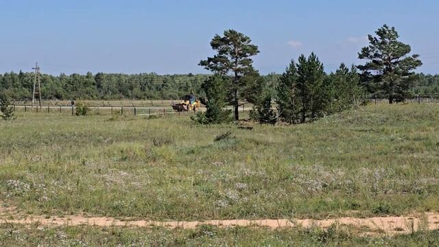 Завтра- Равнай ступы Тары