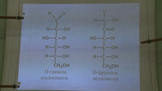 Асеев В. В. - Основы биохимии - 1. Статическая биохимия. Полимеры. Углеводы