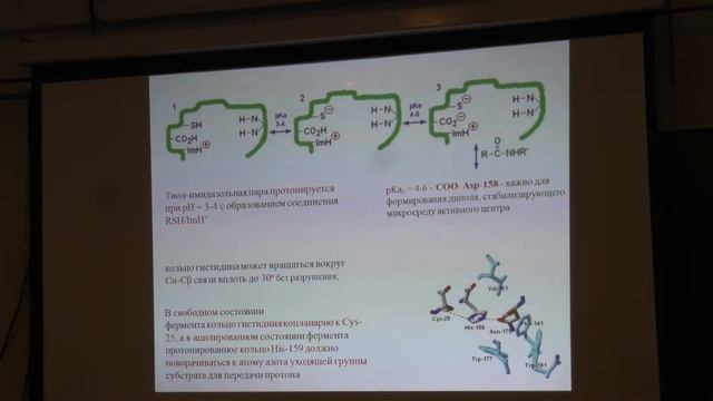 Клячко Н. Л. - Механизмы ферментативного катализа - 7. Классы протеаз