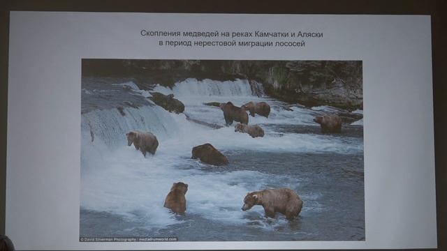Иваницкий В. В. - Зоосоциология - 2. Пространственная структура у животных и человека