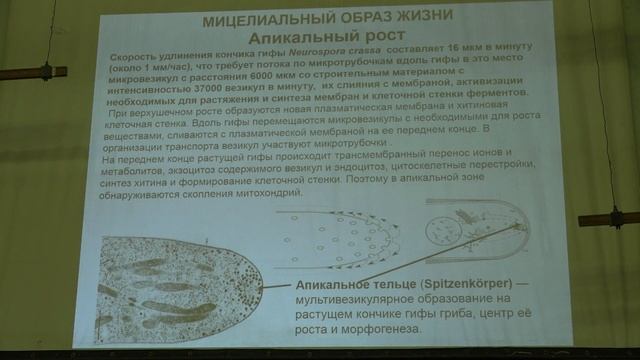Кураков А. В. - Низшие растения. Микология - 1. Микология - наука о грибах