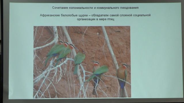 Иваницкий В. В. - Зоосоциология - 6. Конкуренция и кооперация