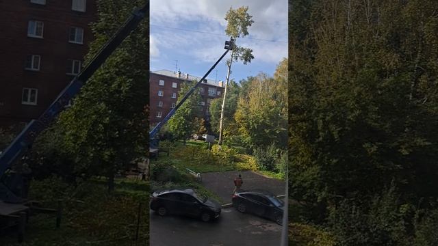 Осений листопад