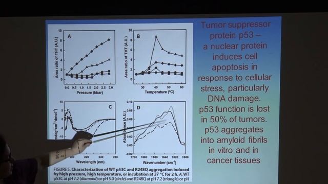 Кудряшова Е. В. - Физические методы биохимии - 4. Инфракрасная (ИК) спектроскопия биомолекул
