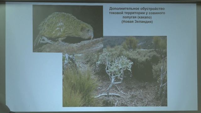 Иваницкий В. В. - Зоосоциология - 7. Тока и арены