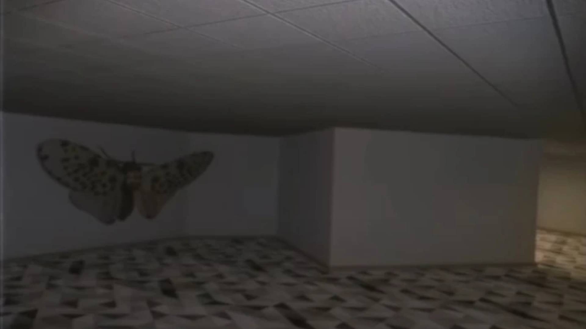 СУЩНОСТЬ 4 - СМЕРТОМОЛИ // ЗАКУЛИСЬЕ