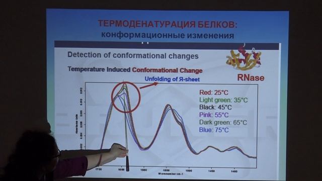 Кудряшова Е. В. - Физические методы биохимии - 5. Инфракрасный спектр белков