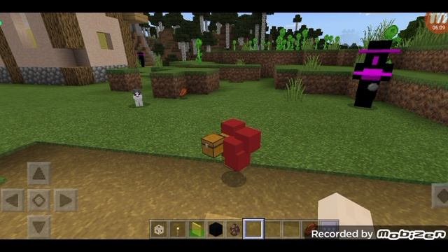 что житель скрывает от меня пранки