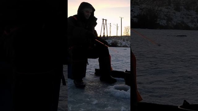 Поклевка леща.