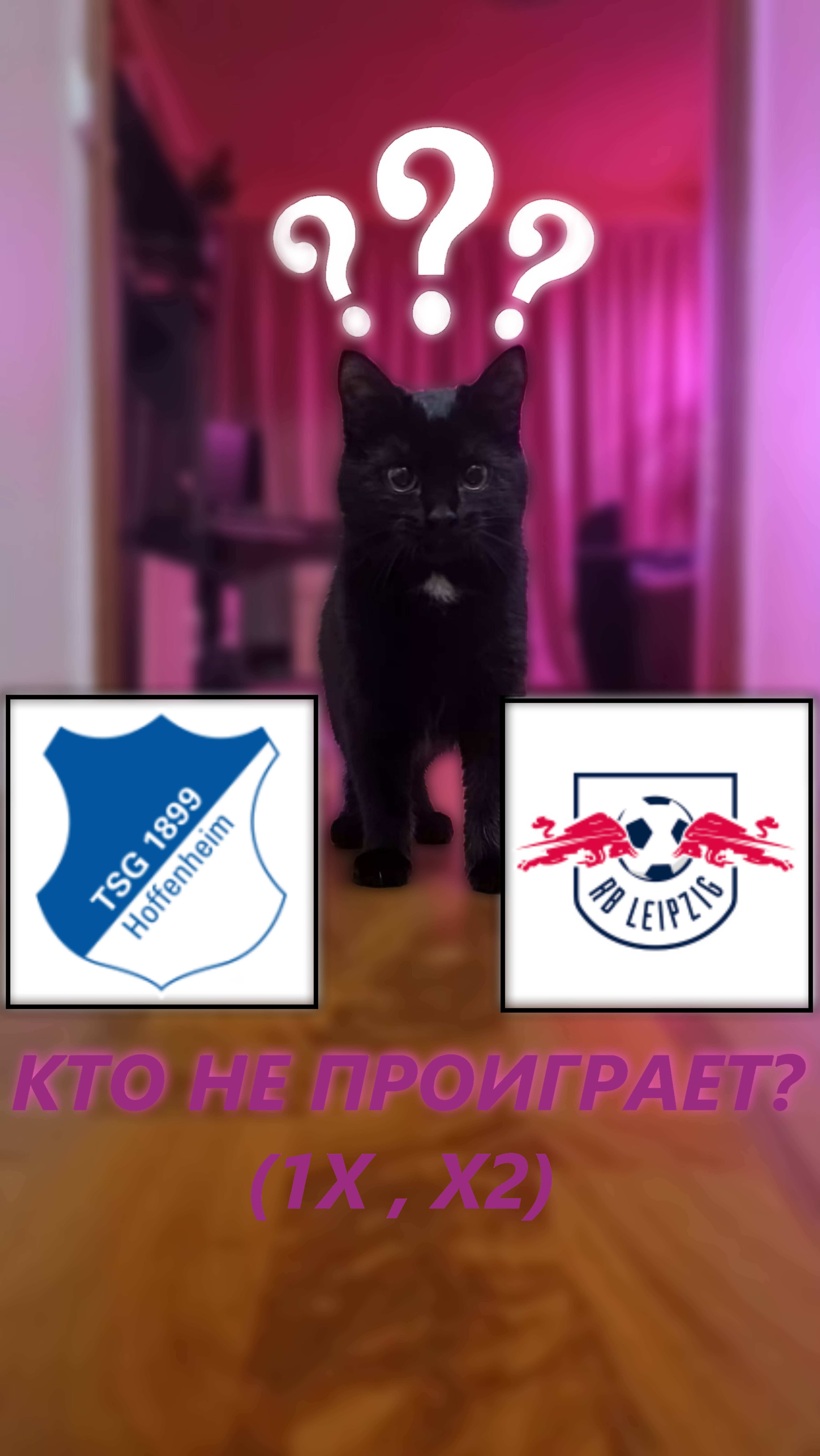 Прогноз на 11 тур Бундеслиги. Хоффенхайм - РБ Лейпциг.