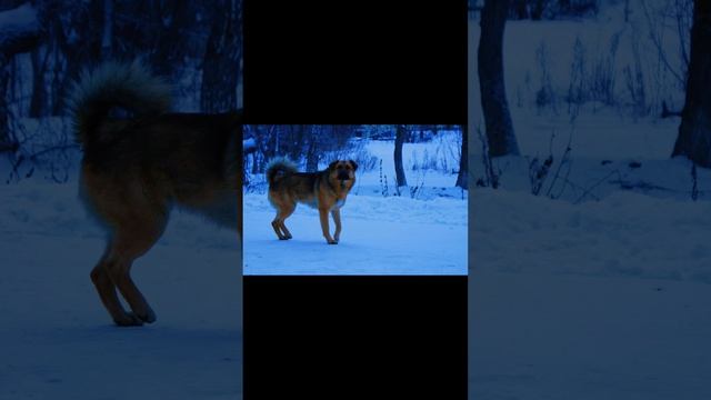 Просто фото.