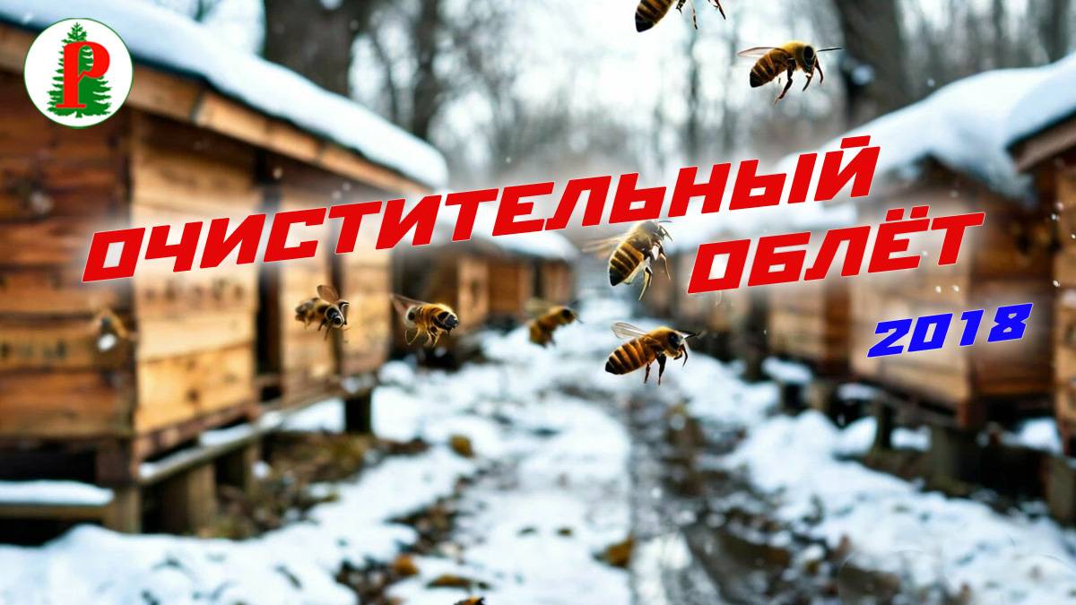 Очистительный облет-2018