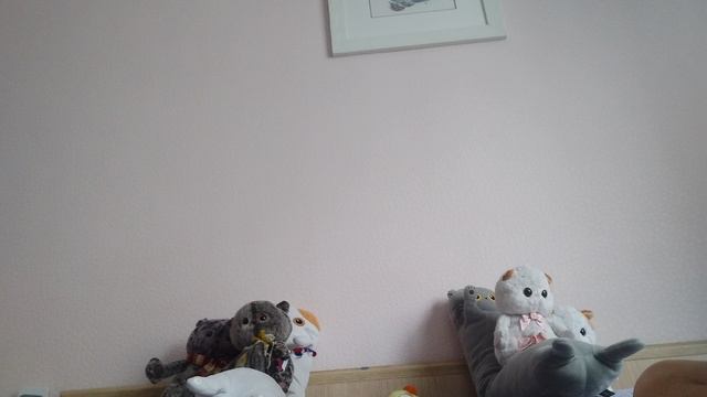 Наша семья 👨👩👧 : Лили🐱, Лёли🐱, Басик 🐱, Барсика🐱, колбаски🐱, колбасы🐱, уточки🐱 и меня 🩷