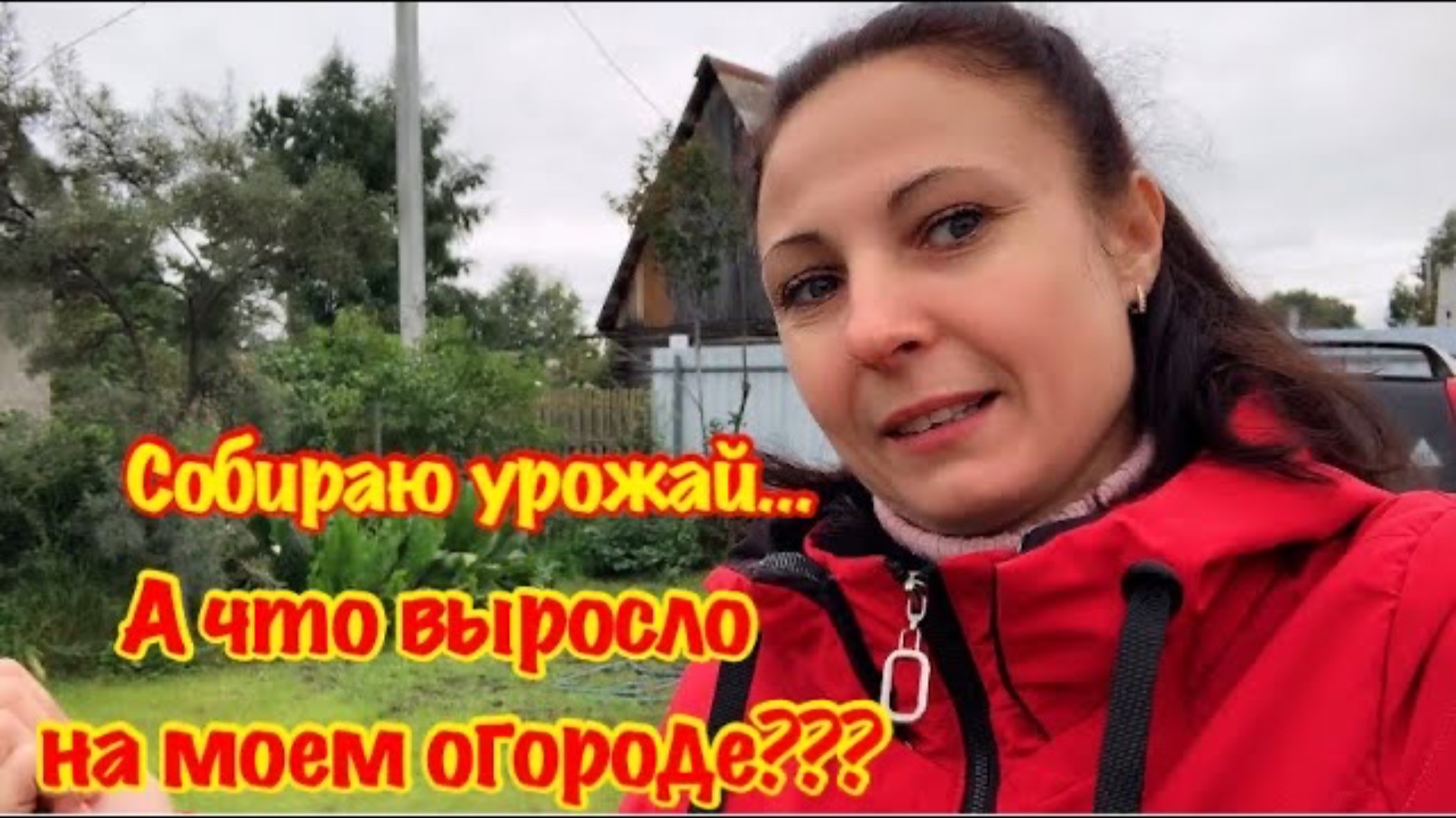 Я В ВОСТОРГЕ ОТ УРОЖАЯ/ОСЕННЯЯ УБОРКА ОГОРОДА НА ДАЧЕ/СОБИРАЮ УРОЖАЙ/КАК ЭТО ВЫРОСЛО У МЕНЯ НА ДАЧЕ?