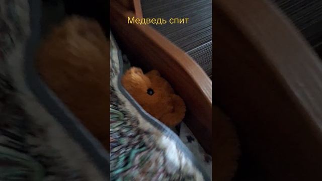 Медведь спит#сон#медведь.