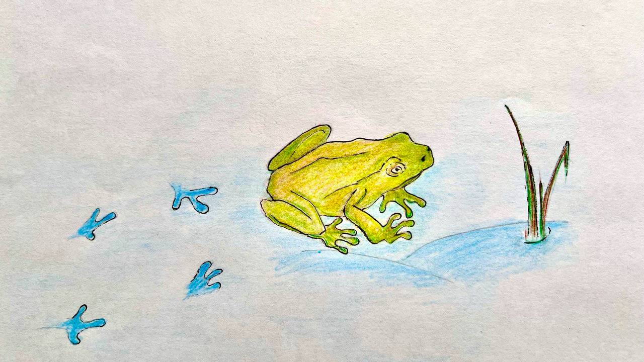 Лягушонок. / Рассказ о том,  как лягушонок проснулся после весны / М Пришвин