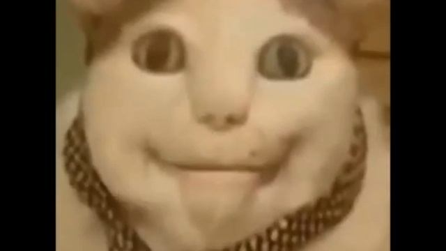 Бу испугался не бойся на разных скоростях