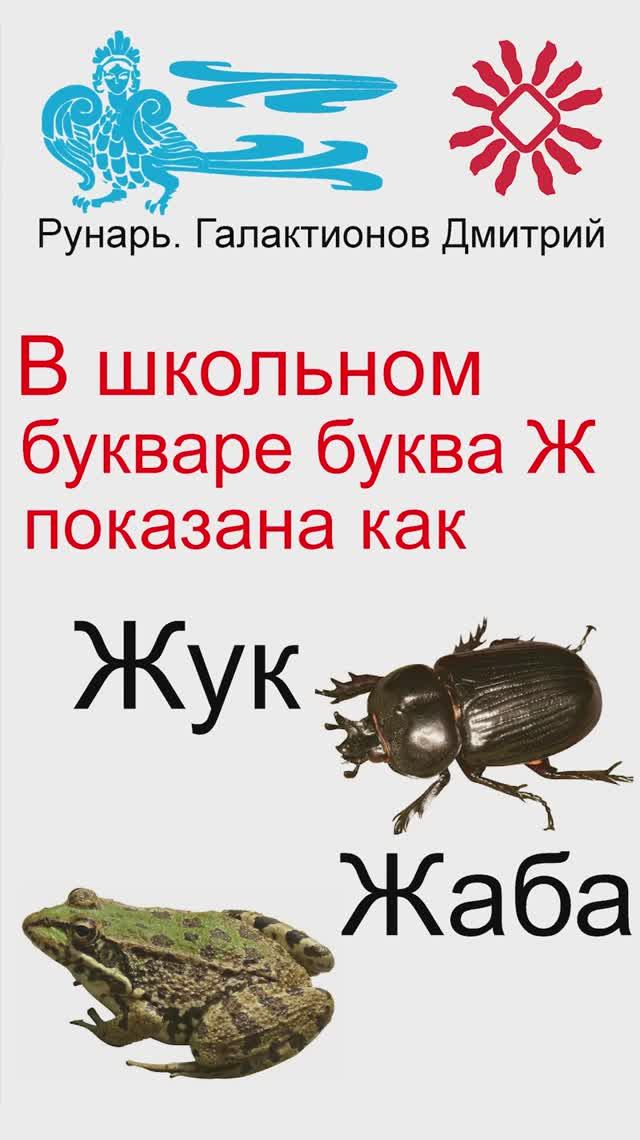 Буква Ж, Буквица Животъ, Руна Жизнь #Рунарь #Руны #Азбука #Буквица #галактионовдмитрий