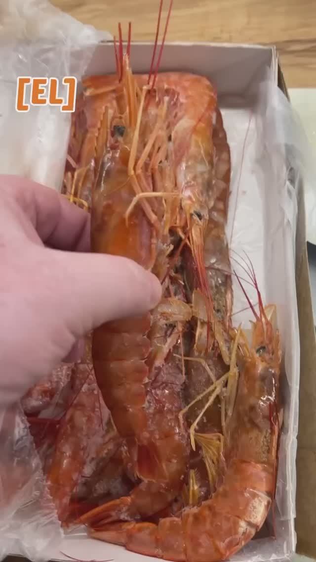 Я прошу у всех прощения в день Святого Воскресенья