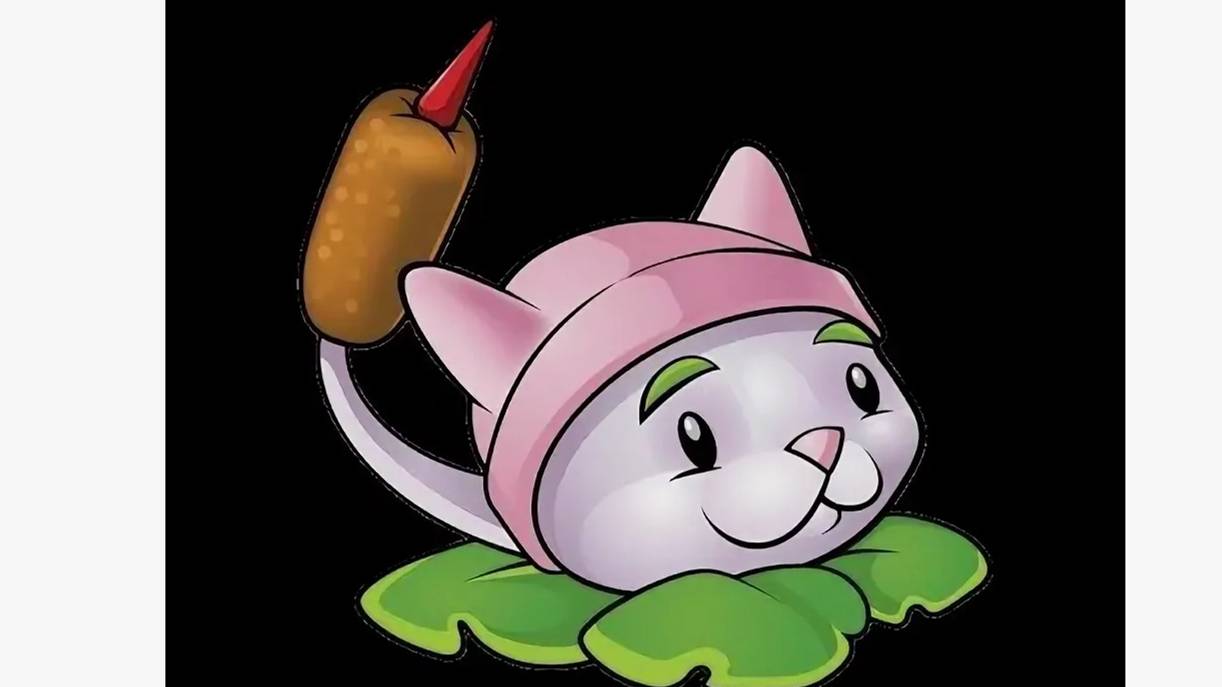 пвз прошёл ночной басейн имею кошкомыш