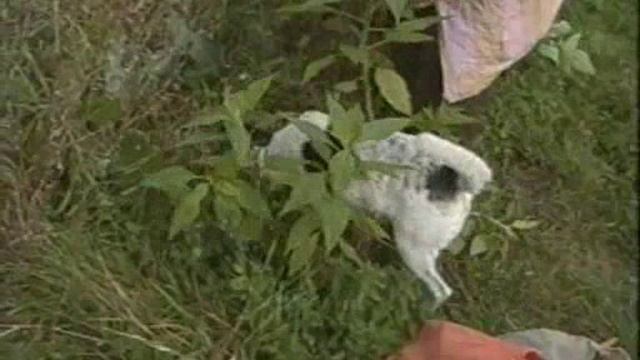 2007 Сенmябрь Мама я