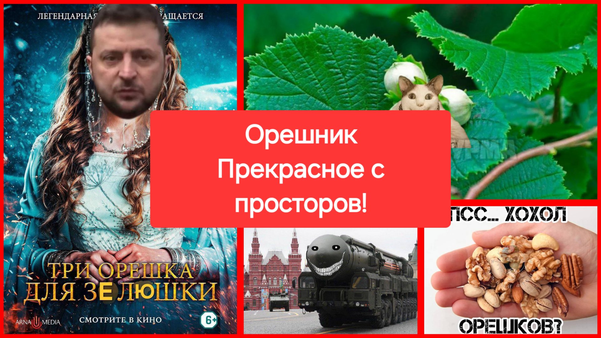 Орешник. Прекрасное с просторов!😁Комментарии пользователей