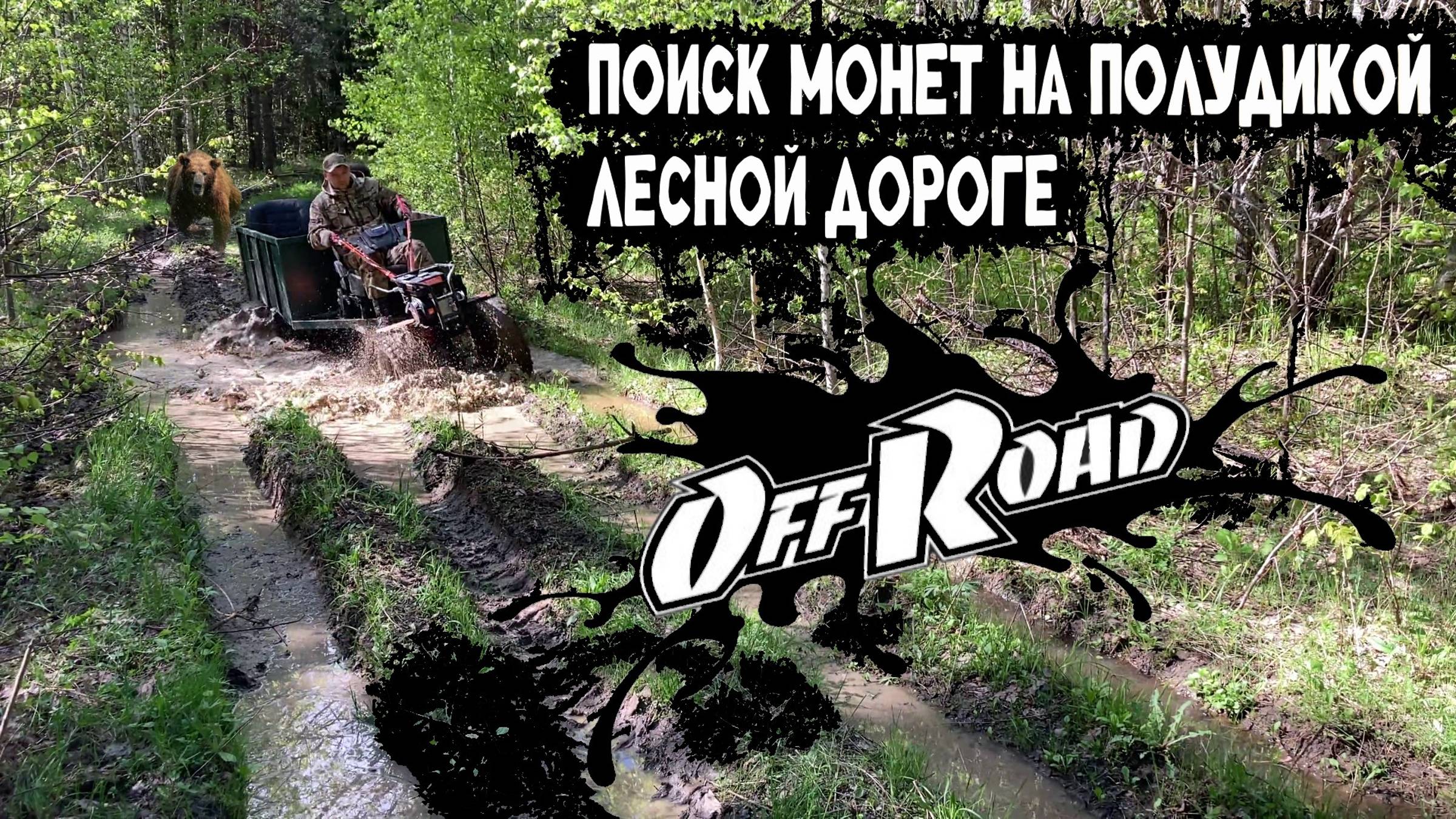 Поиск монет. На заброшенной старинной дороге.